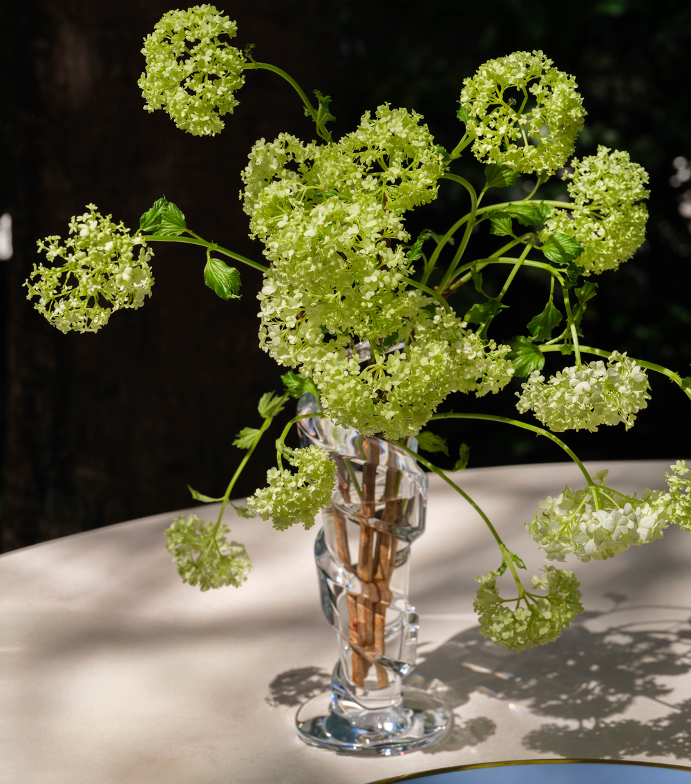 Spirale Vase | Lakeview Home